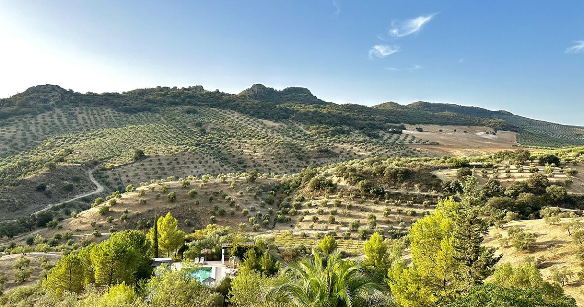 Bed and Breakfast | Hacienda El Tarajal Boutique B&B